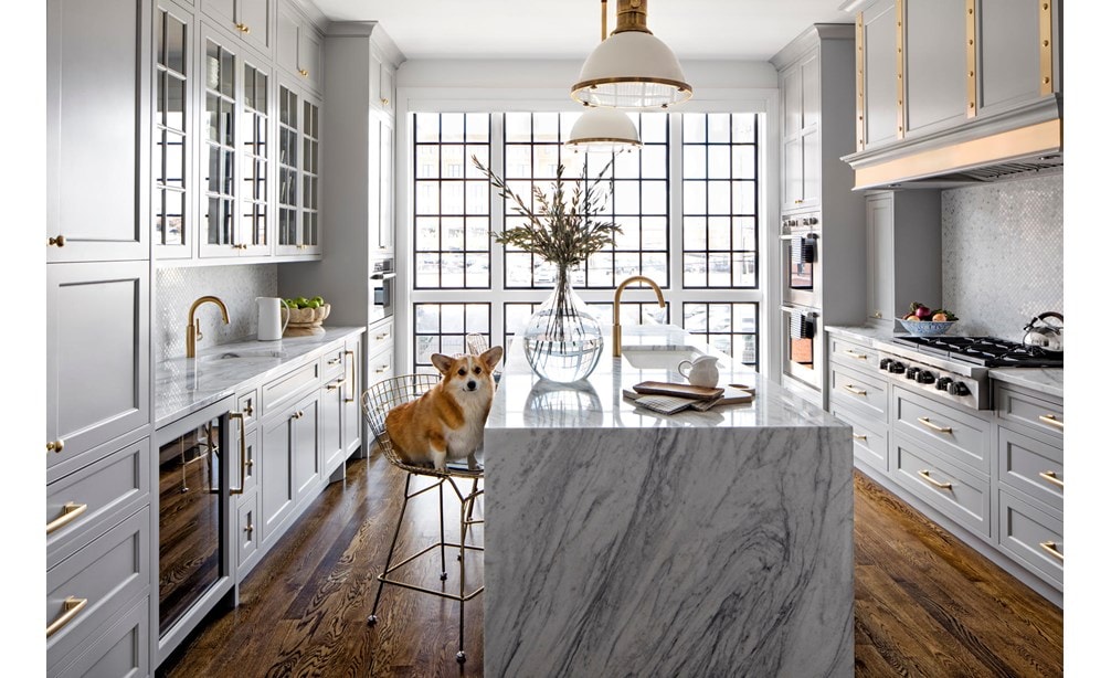 Baltimore Row House | Sub-Zero, Wolf, and Cove Kitchens