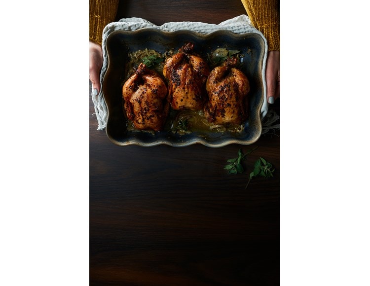 Poultry and Game Recipe | Cornish Game Hen | Wolf Speed Oven