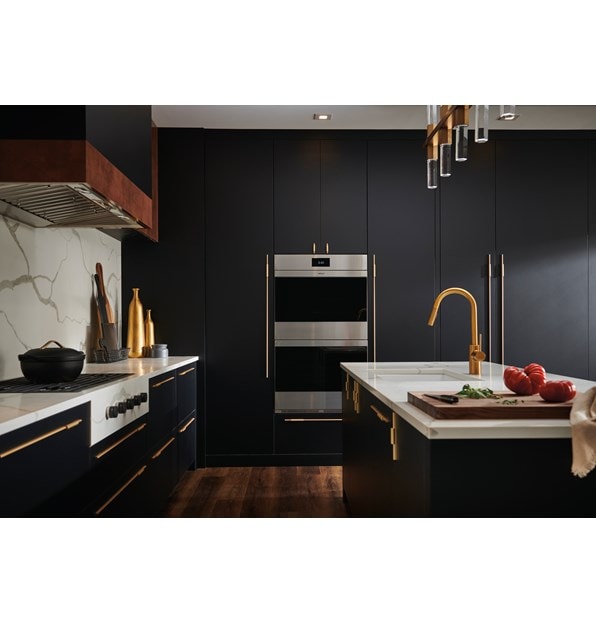 Wolf Built-In Convection Ovens, Steam Ovens and Speed Ovens